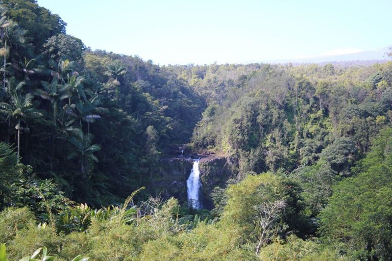Hilo – Finding Balance
